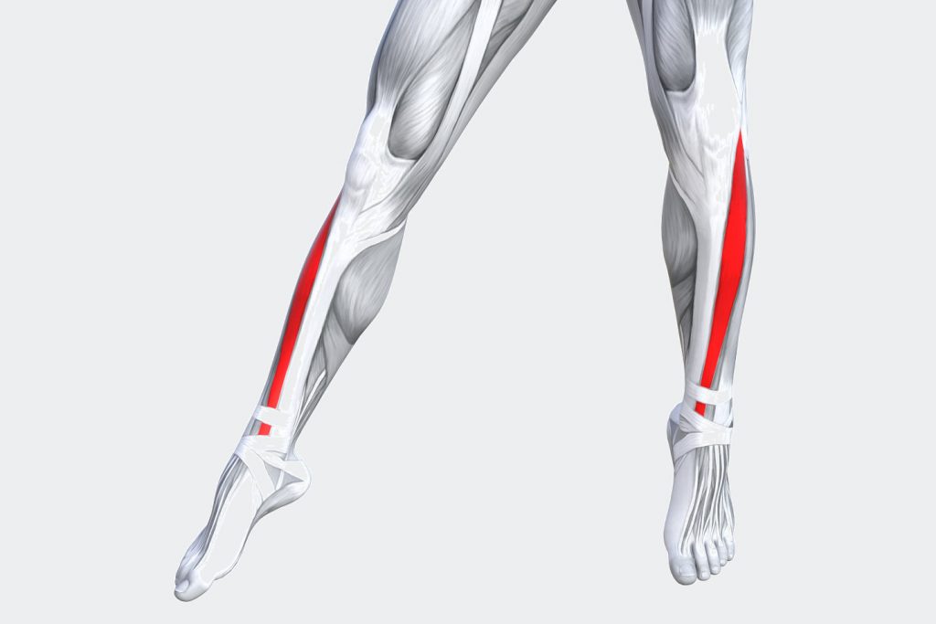 Tibialis Anterior Dysfunction Tendonitis | Orthotics Plus Melbourne